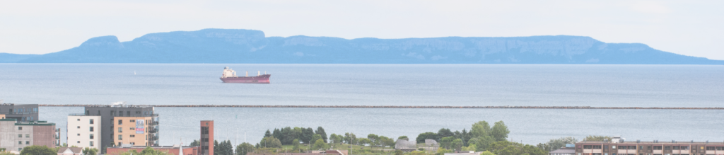 Neighbourhood Notices - Synergy North